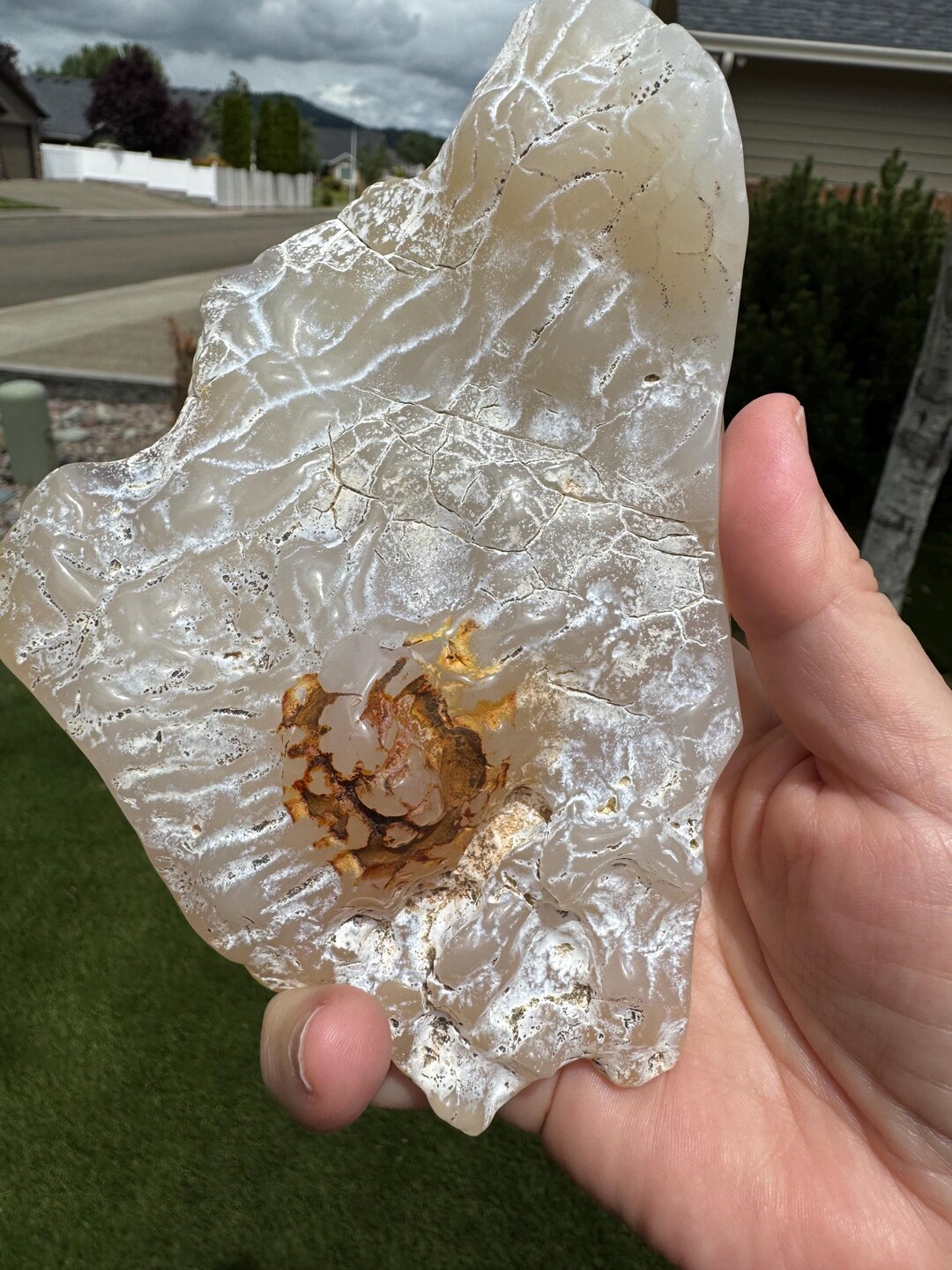Snakeskin Agate From Rome, Oregon. Specimen Tumbled, Large Collectors ...