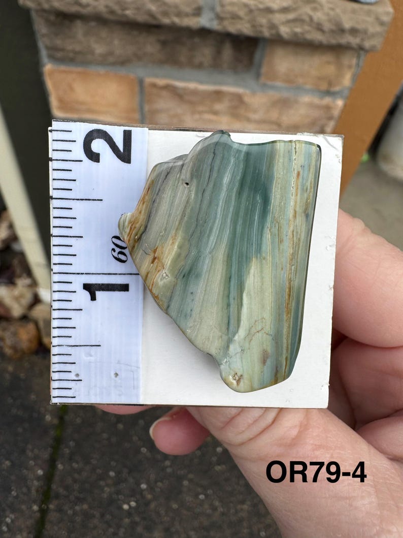 Gary Green Jasper Freeform Tumbled Stone | Jewelry or Lapidary Material ...