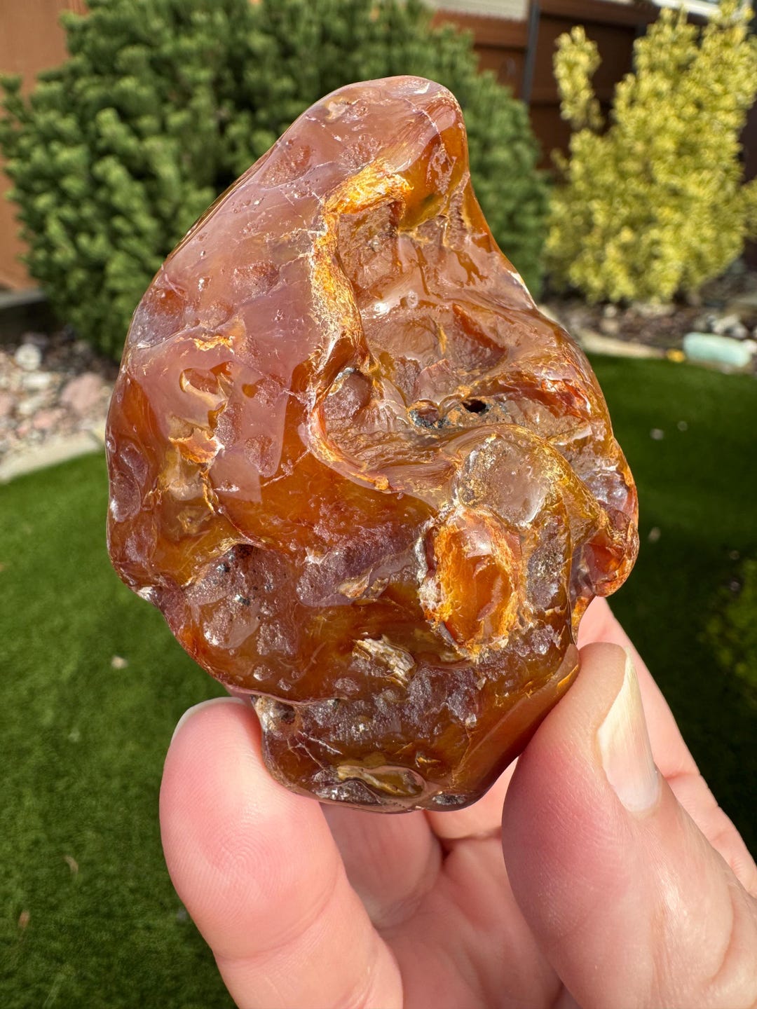 Buckskin Carnelian Specimen — Epimorph-formed Nodule — Specimen Tumbled ...