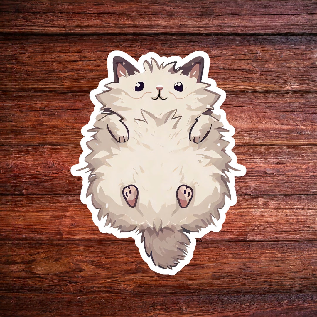 Fluffy Cream/white Cat Die-cut Sticker, Floofy Cat, Gifts for Her, Cute ...