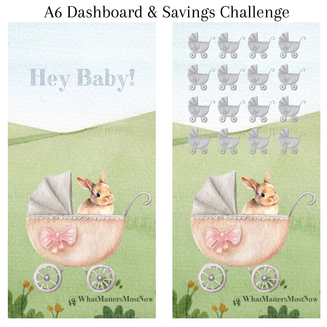 Hey Baby! Baby Rabbit Kit A6 Roll N' Save Savings Challenge & Dashboard ...
