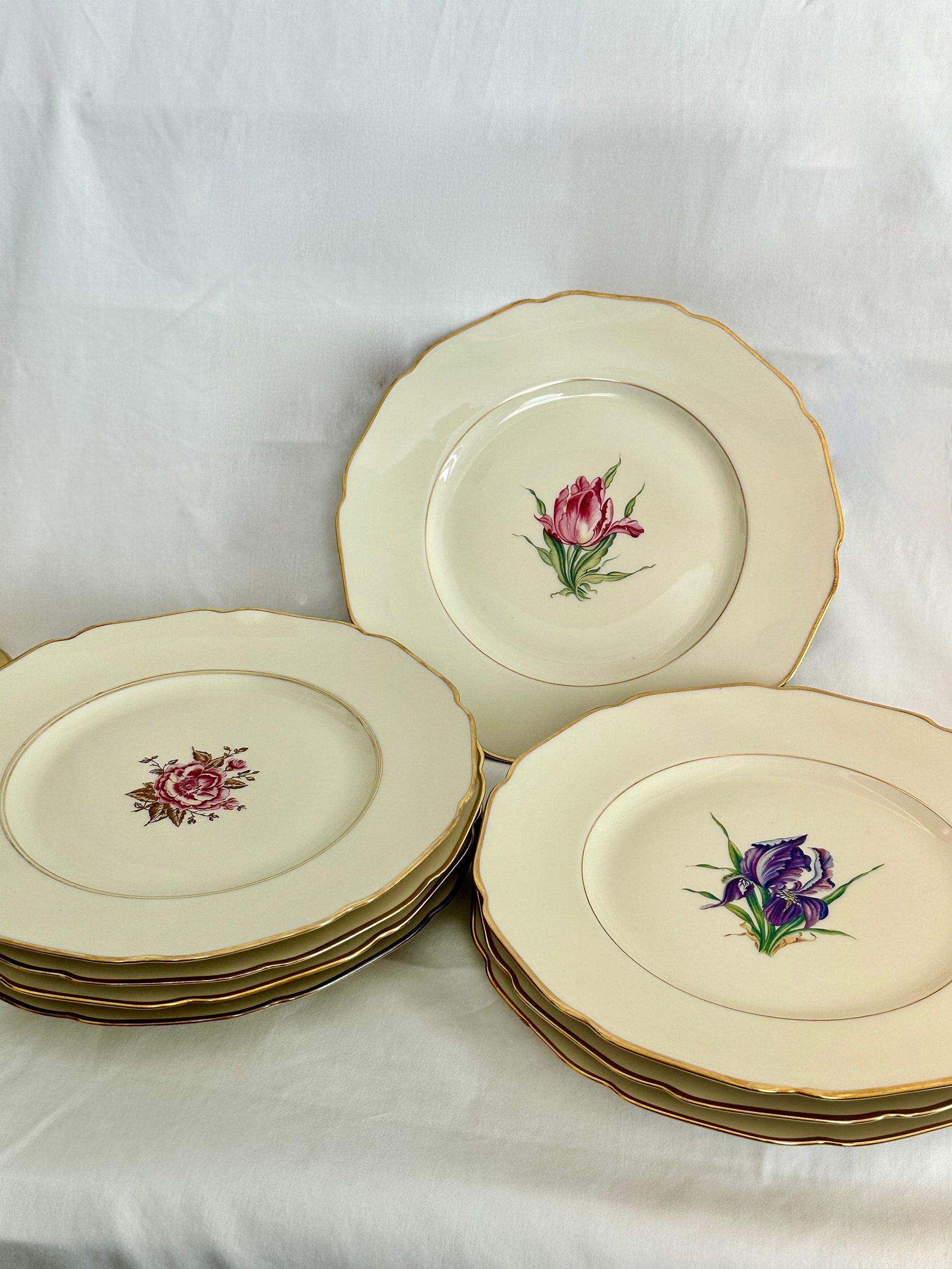 Set of 1950s Royal Rose, Iris, Tulip With Gold Trim Bavarian Dinner ...