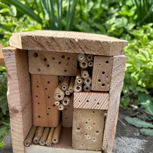 This & That Bee House - Etsy