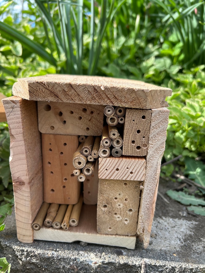 This & That Bee House - Etsy