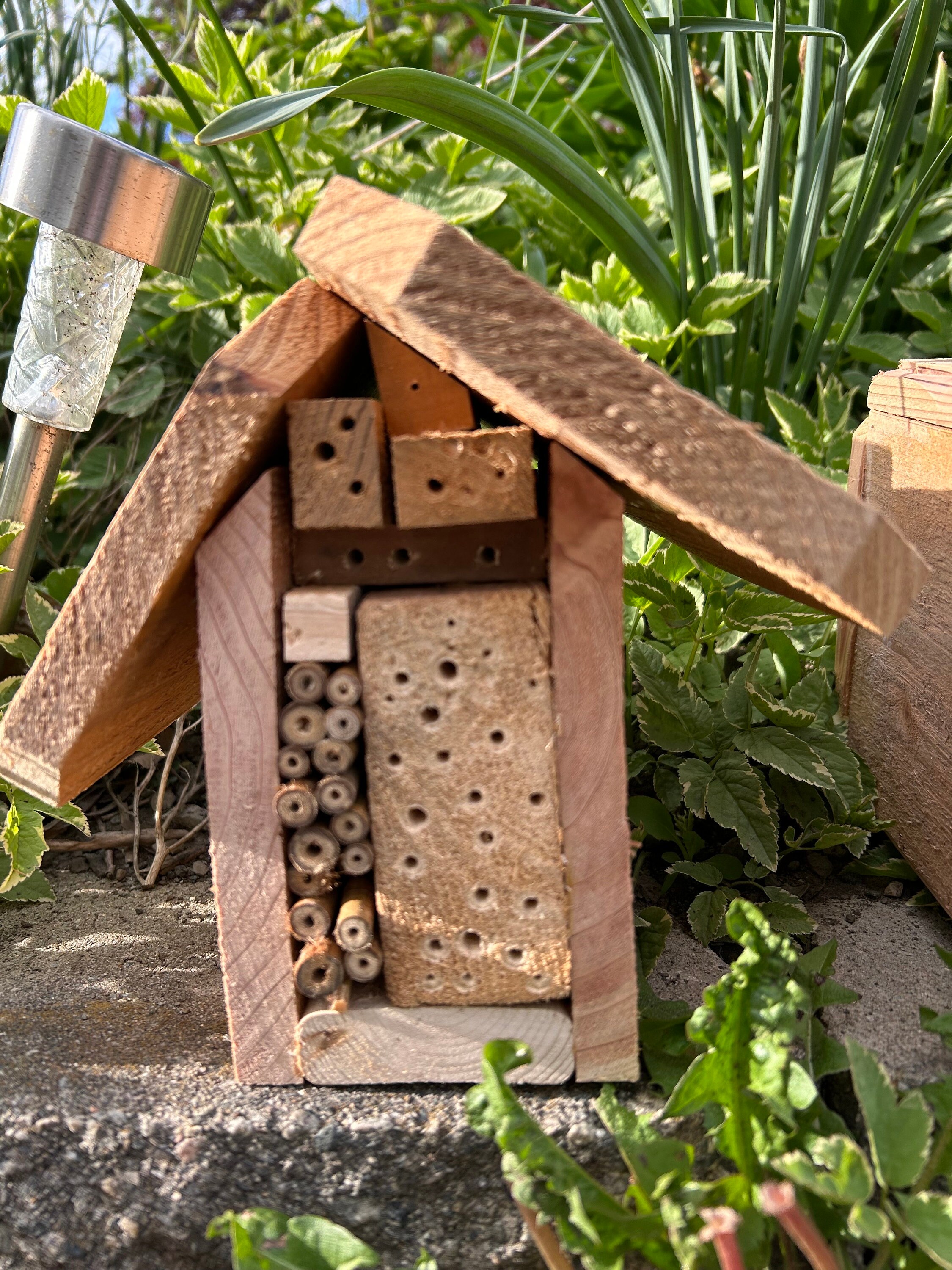 This & That Bee House - Etsy