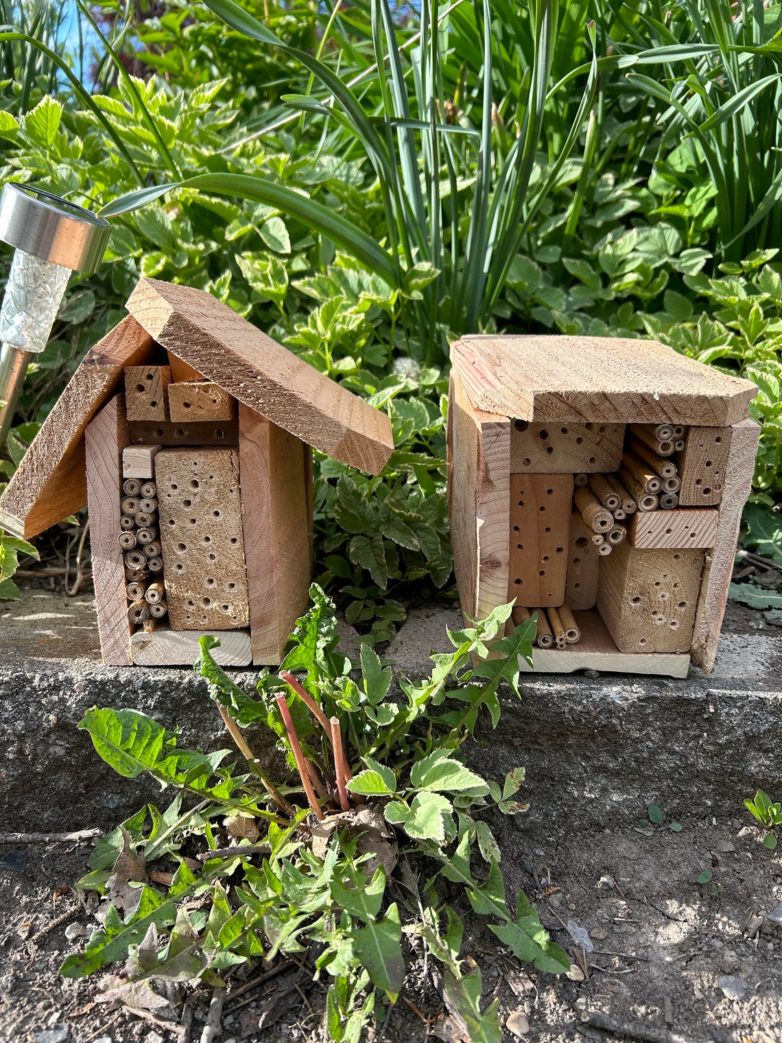 This & That Bee House - Etsy