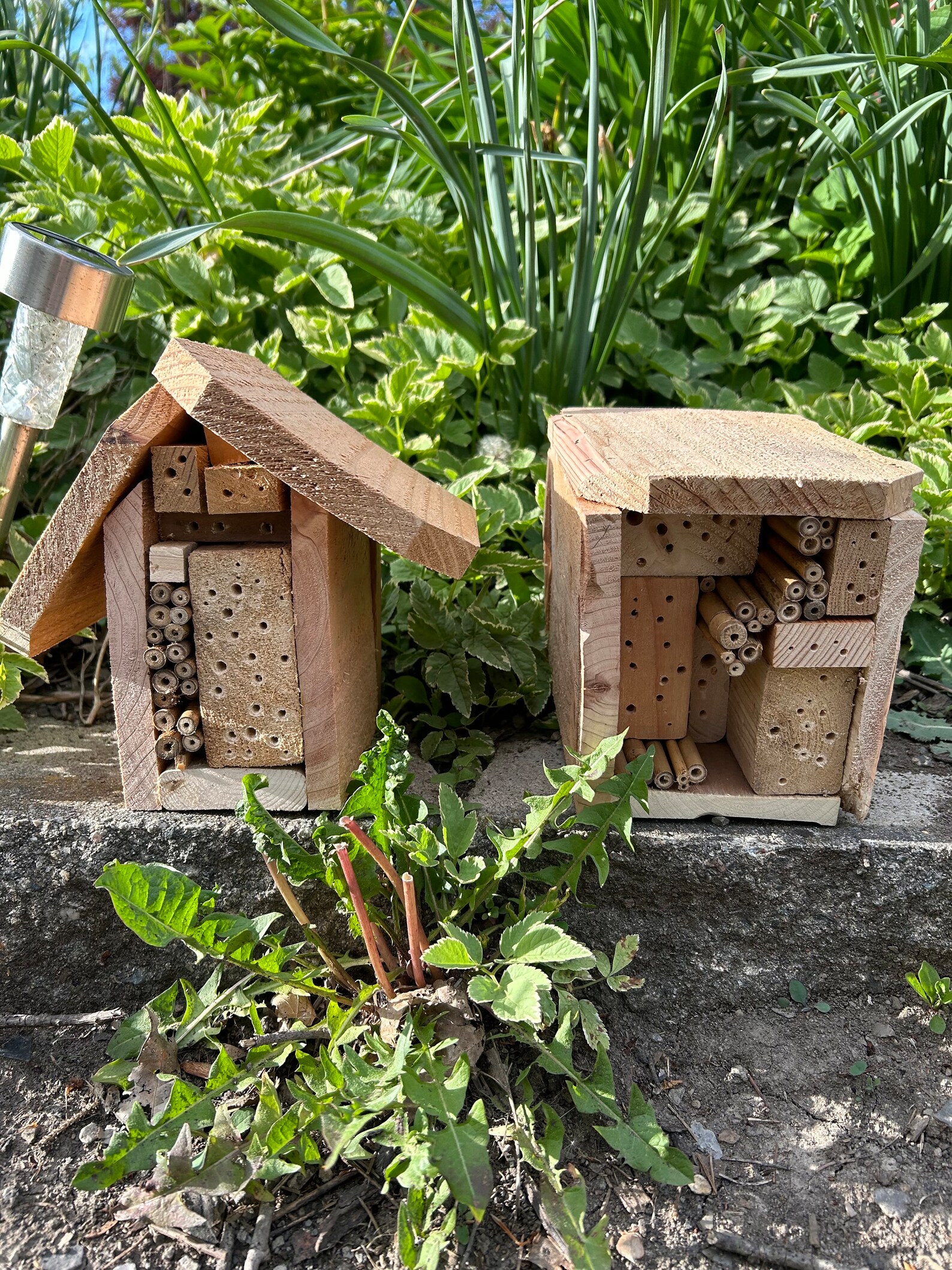 This & That Bee House - Etsy