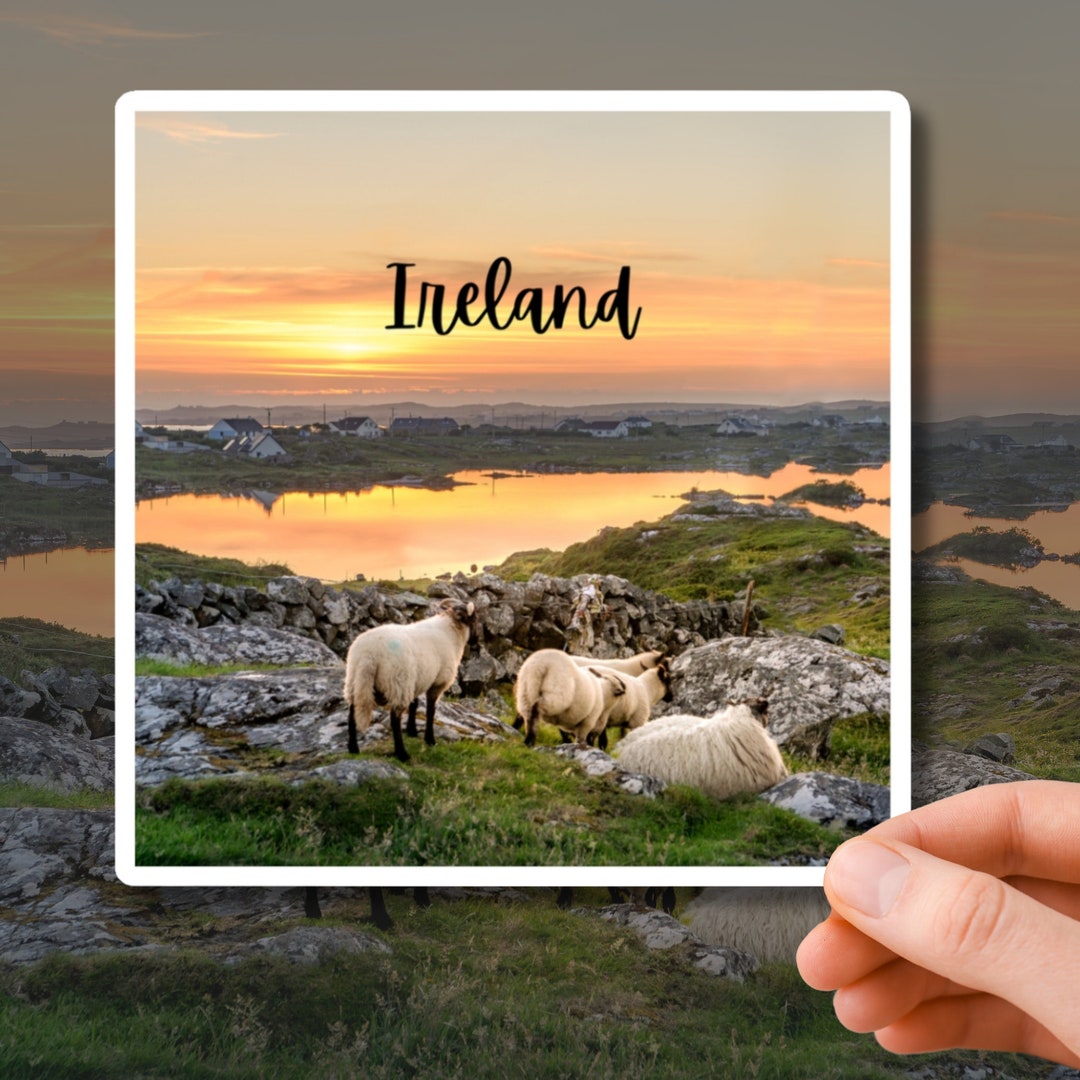 Ireland Sheep Magnet, Dublin, Photo, Ireland, Magnet, Souvenir, Travel ...