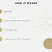 BOHO Tiktok Notion Template, Minimal Content Planner for Notion ...