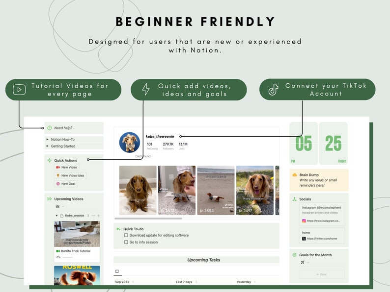 Tiktok Content Planner, Aesthetic Notion Planner ,notion Dashboard,beginner Friendly Template ...
