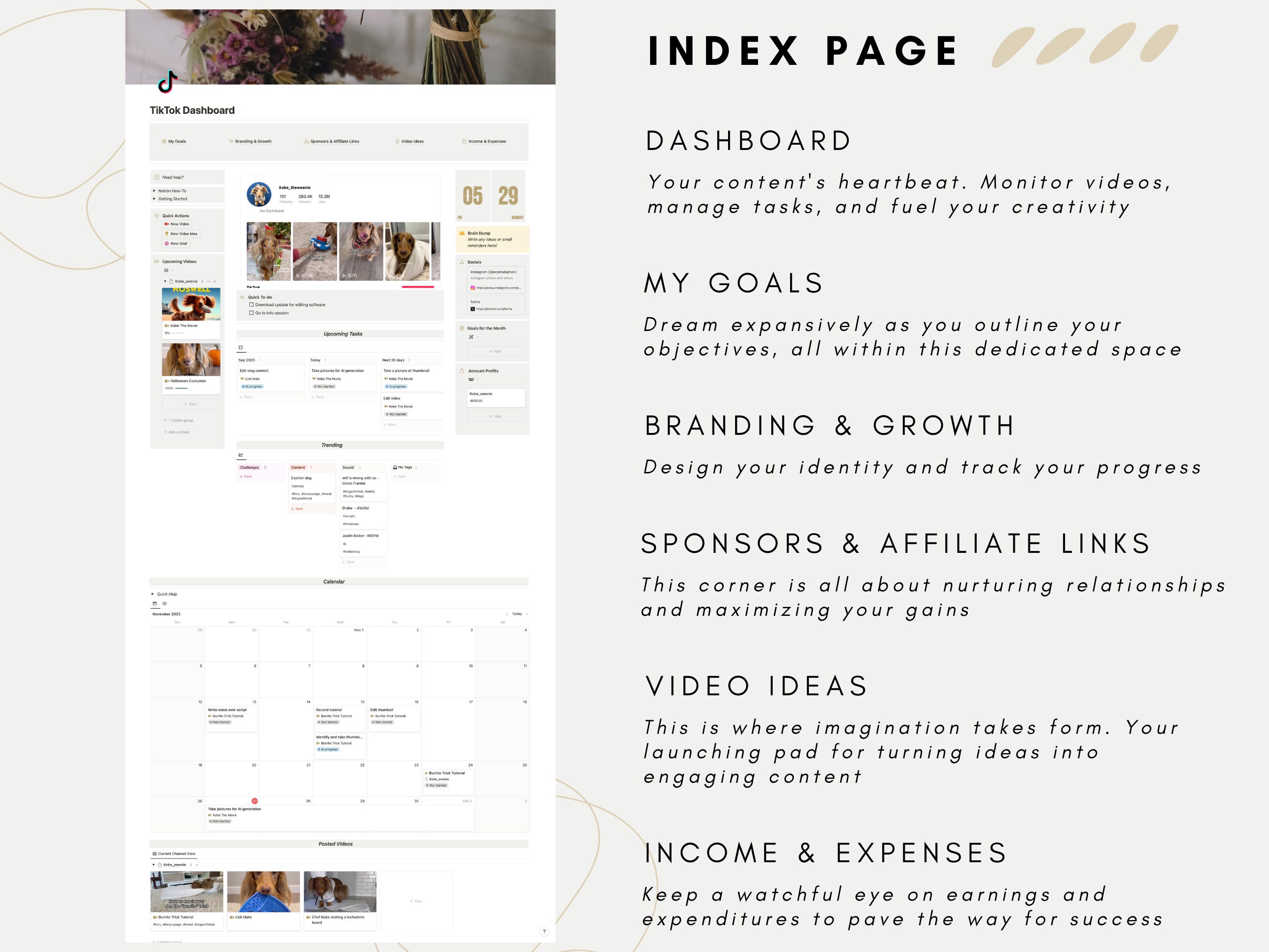 BOHO Tiktok Notion Template, Minimal Content Planner for Notion ...