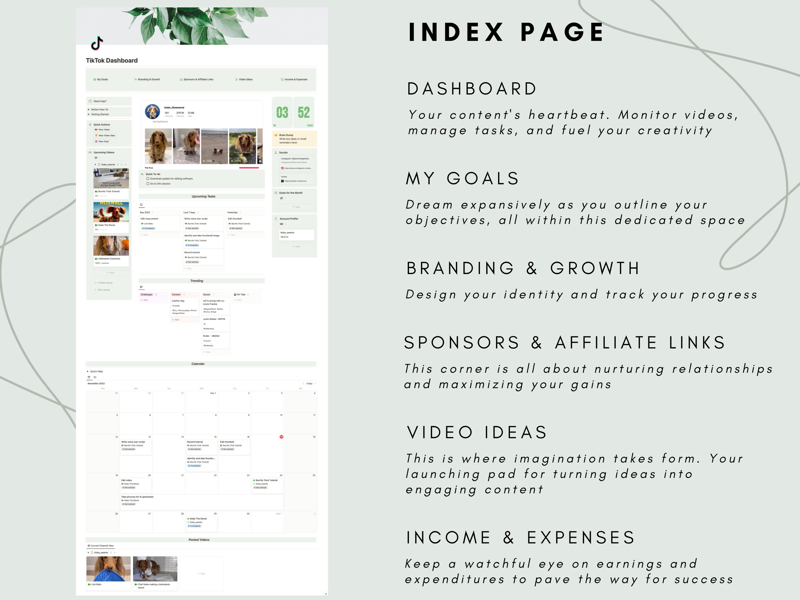 Tiktok Content Planner, Aesthetic Notion Planner ,notion Dashboard,beginner Friendly Template ...