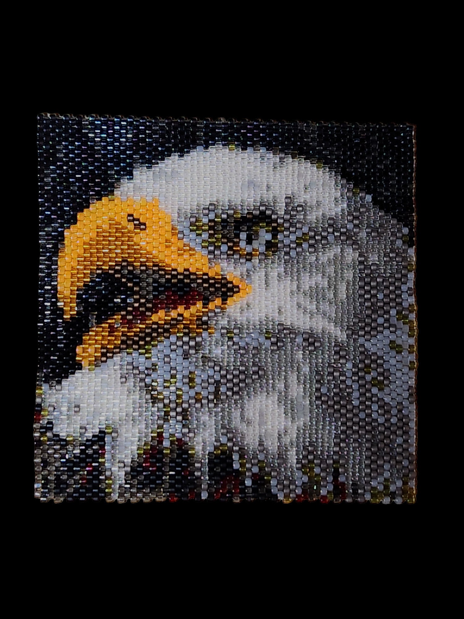 The North American Predators SET OF 4 Coaster Patterns in Even Count ...