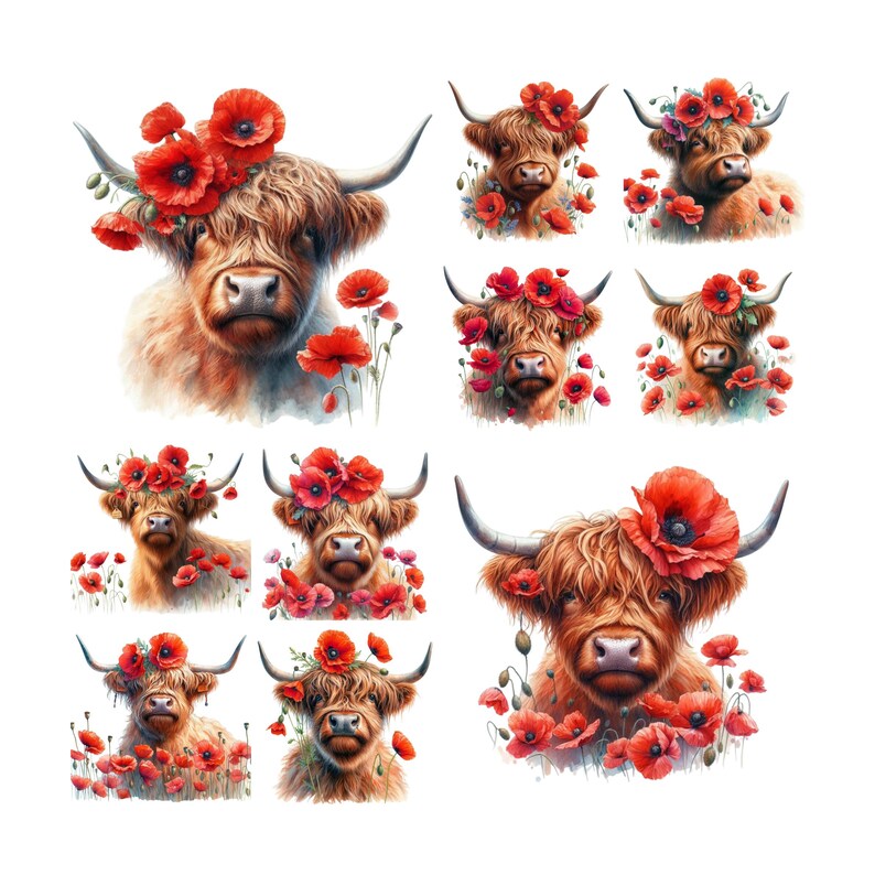 10 PNG Images Highland Cow Poppy Clipart Transparent Background ...