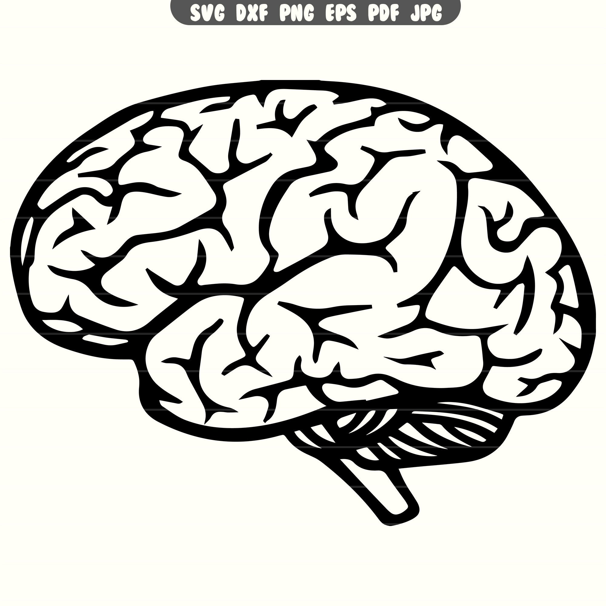 Brain SVG, Brain DXF, Brain PNG, Brain Clipart, Brain Cut File Instant ...