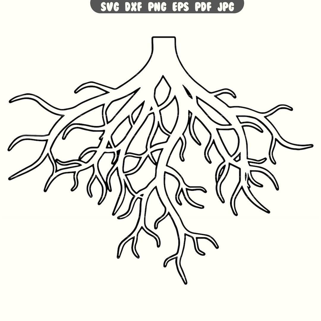 Roots Outline SVG Roots Outline DXF Roots Outline PNG - Etsy
