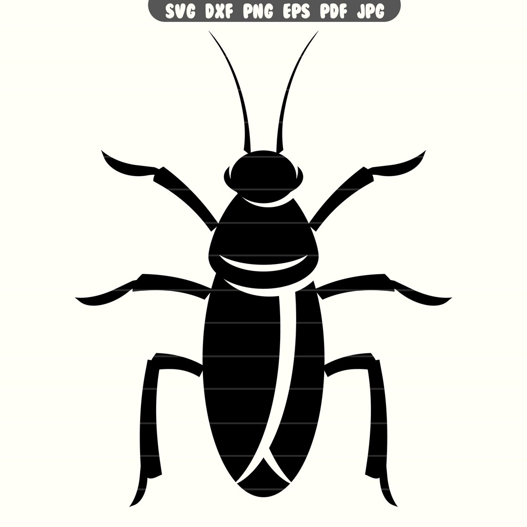 Cockroach SVG, Cockroach DXF, Cockroach PNG, Cockroach Cut File ...