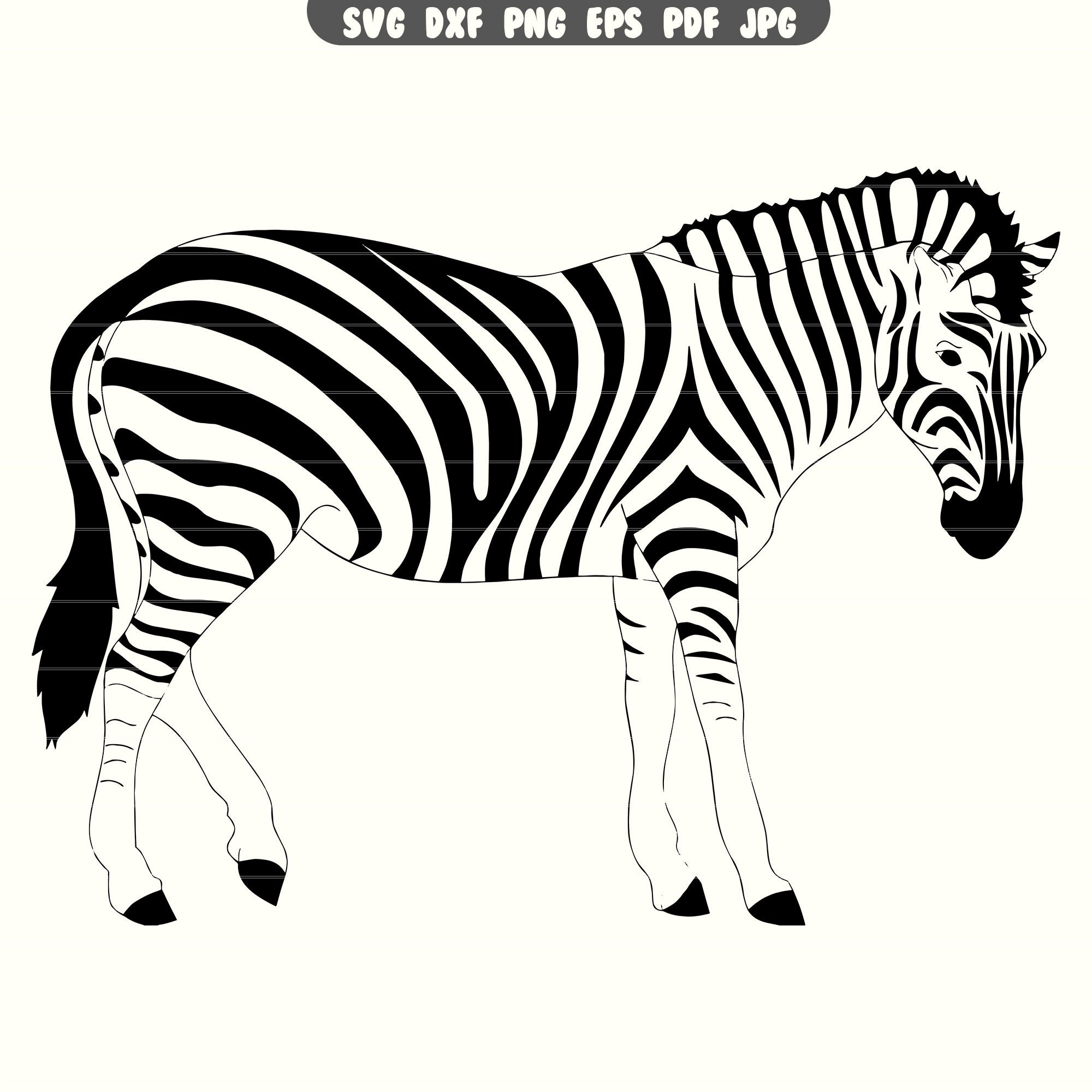 Zebra SVG, Zebra DXF, Zebra PNG, Zebra Clipart, Zebra Cut File Instant ...