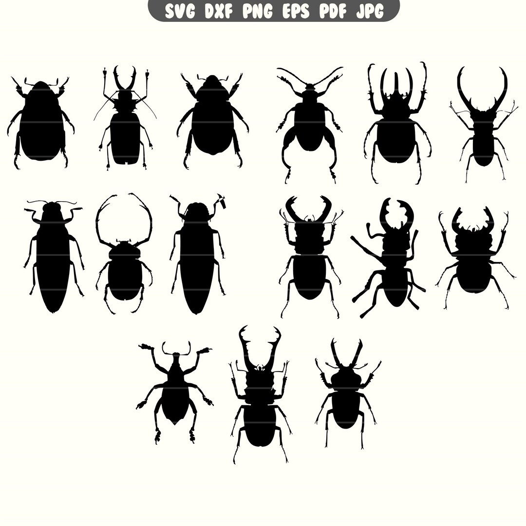 Bug Bundle SVG, Bug Bundle DXF, Bug Bundle PNG, Bug Bundle Cut File ...