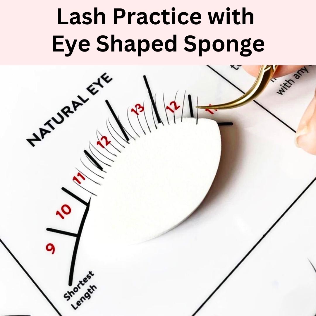 Lash Mapping Practice Chart for Beginners Lash Training Kit Eyelash Extension Curl and Diameter ...