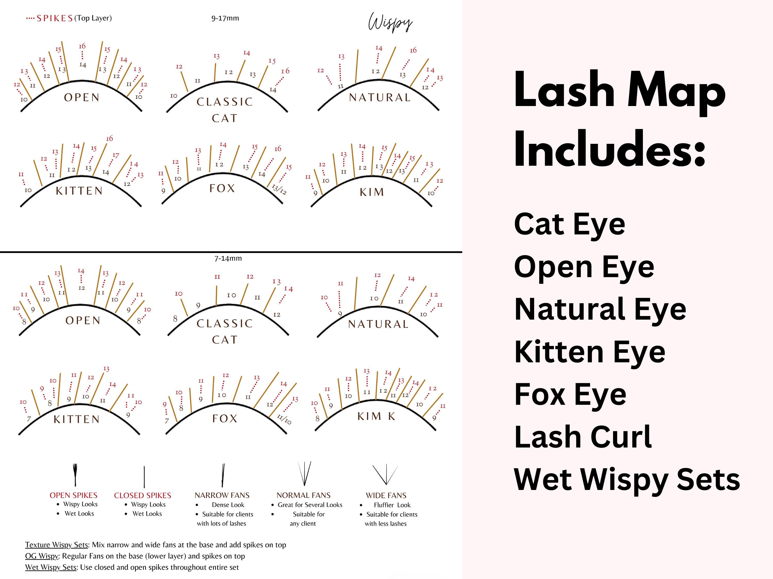 Wispy Lash Mapping Practice Chart for Beginners Lash Training Kit ...