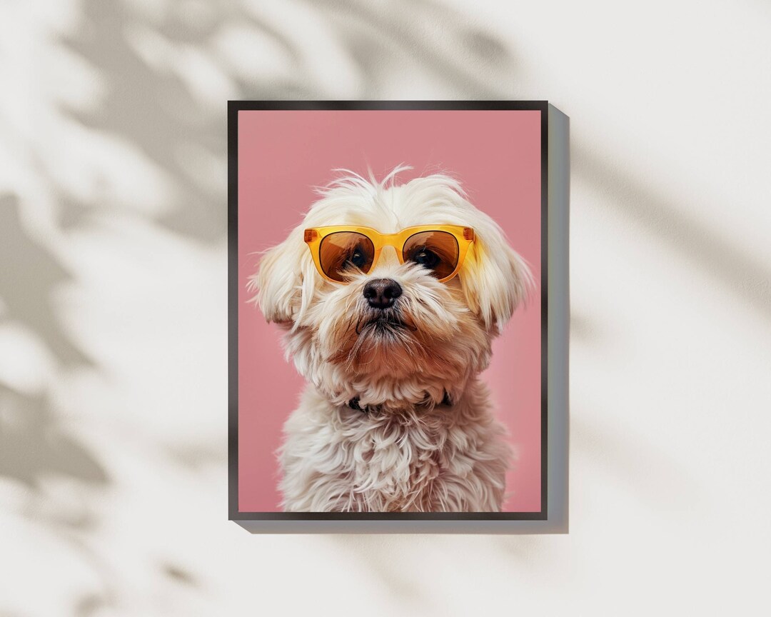 Maltese Sunglasses Wall Art, Digital File Instant Download,maltese Dog ...