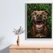 Pitbull Wall Art Digital File Download, Brown Pitbull Wall Print ...