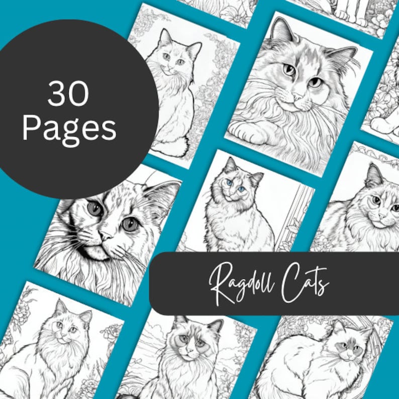 Ragdoll Cat Coloring Book | Digital Download | Printable | PDF Format ...