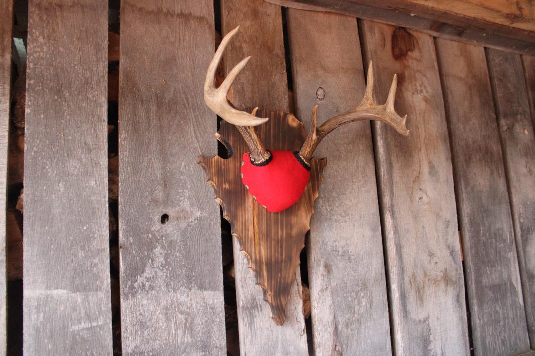 Arrowhead Shaped Deer Antler Mounting Plaque - Etsy