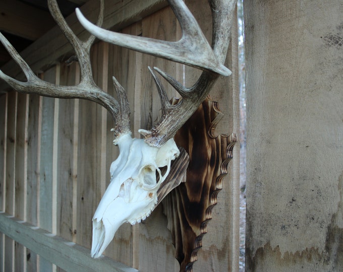 Rustic Burnt Pine Arrowhead European Mounting Plaque: Handcrafted ...