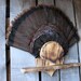 Rustic Turkey Mounting Plaque With Burned Pine Beard Board: Handcrafted ...