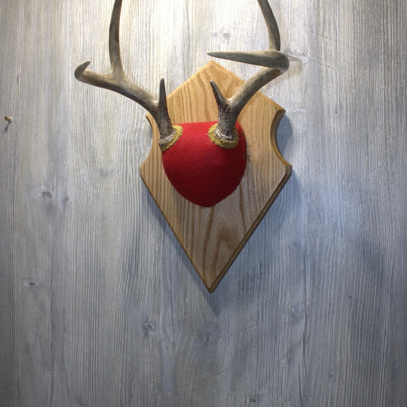 Deer Antler Mount - Etsy