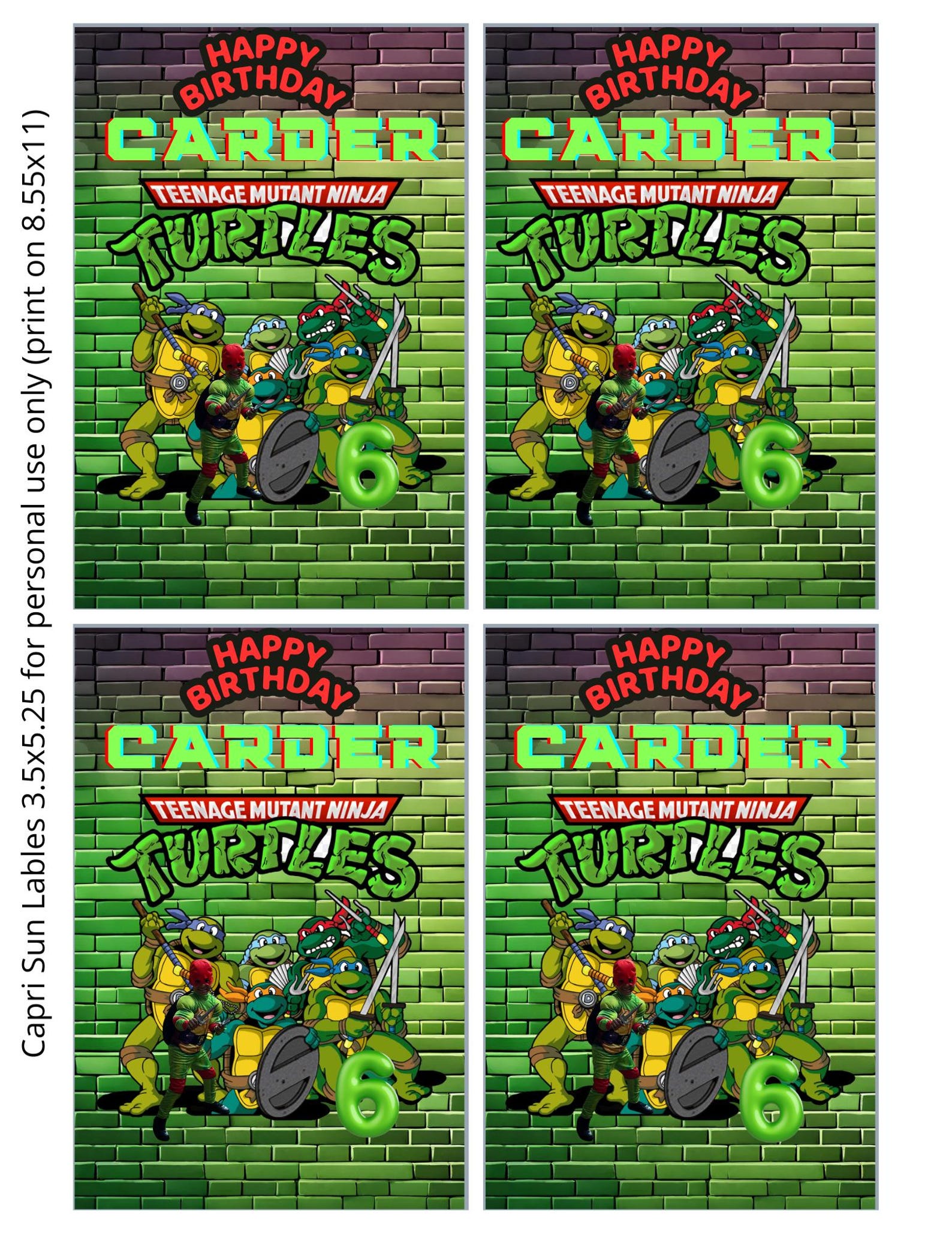 Teenage Mutant Ninja Turtles Chip Bag, Fruit Snack & Juice Box Template | Digital Download - Etsy