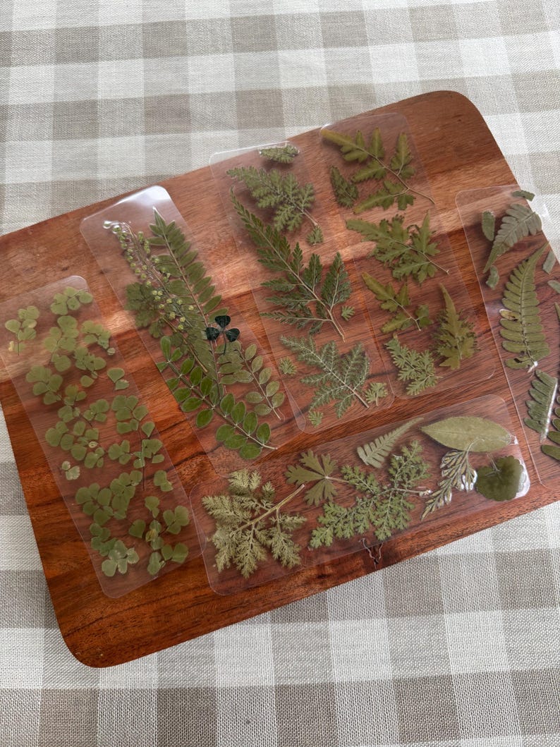 Mystery Handmade Pressed Greenery Bookmark: Real Flower Reader Gift - Etsy