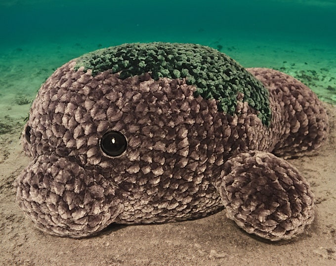 Maggie the Manatee Crochet Pattern Amigurumi PDF Pattern - Etsy