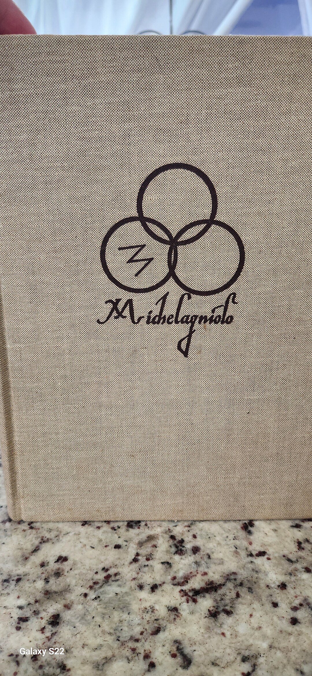 Michel Angelo Paintings, Sculptures, Architecture: Phaidon - Etsy