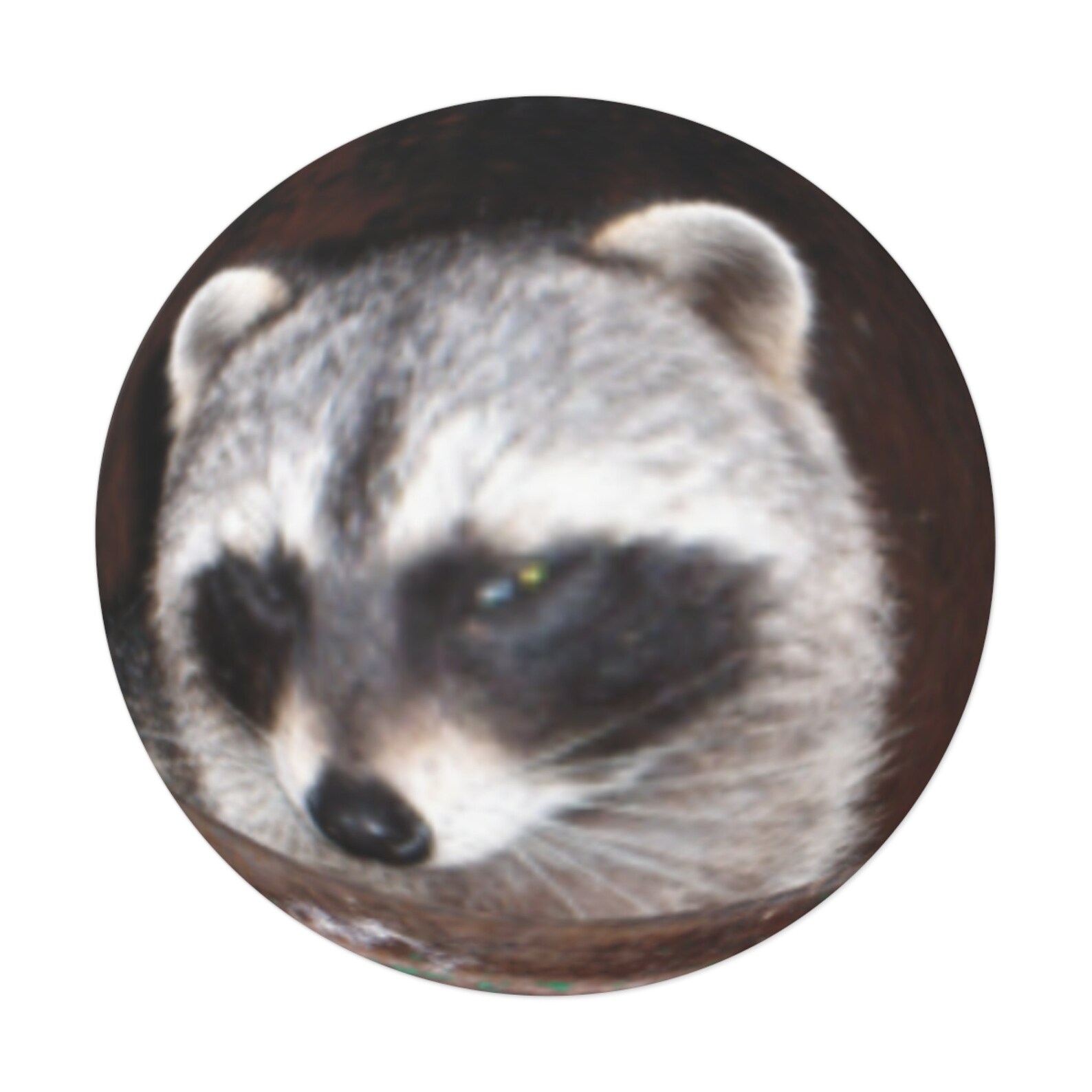 Quirky Raccoon Fisheye Meme Sticker for Car Gas Tank - Etsy