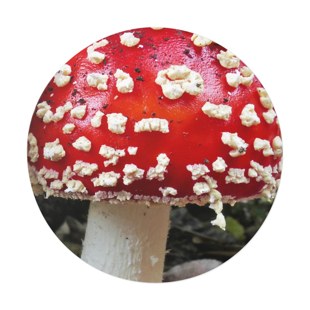 Mushroom Stickers Nature Cute Meme Gen Z Bumper Sticker Gas Tank Decals ...