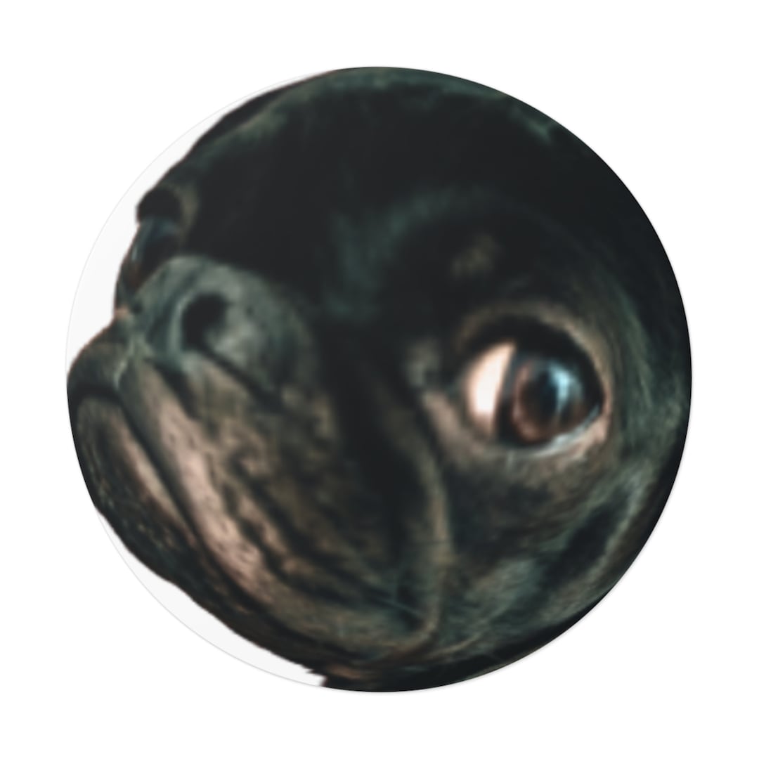 Pug Dog Fisheye Gas Tank Pfp Car Sticker - Etsy