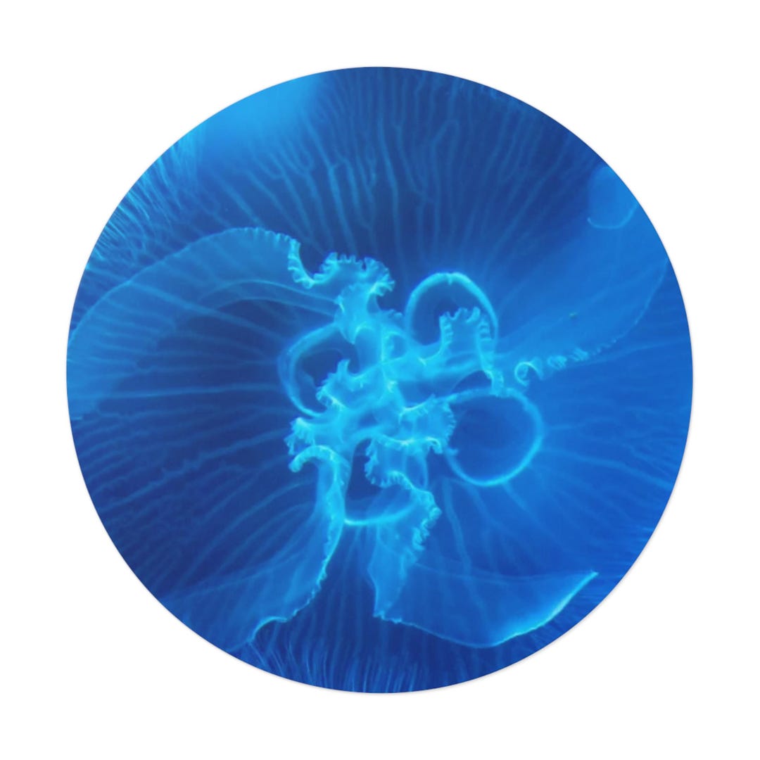 Jellyfish Gas Tank Pfp Car Sticker - Etsy