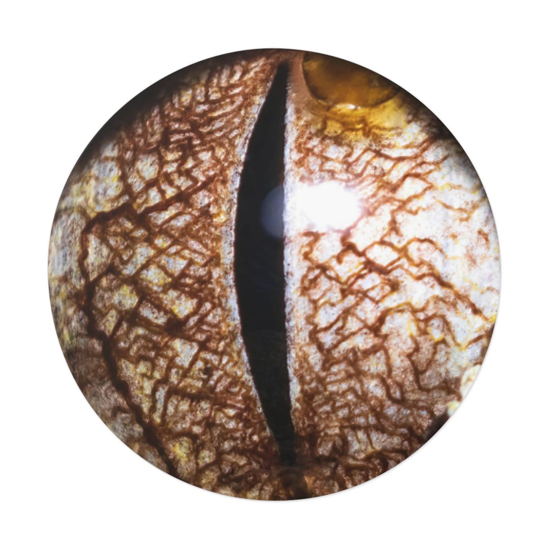 Vertical Pupil Eye Gas Tank Pfp Car Sticker - Etsy