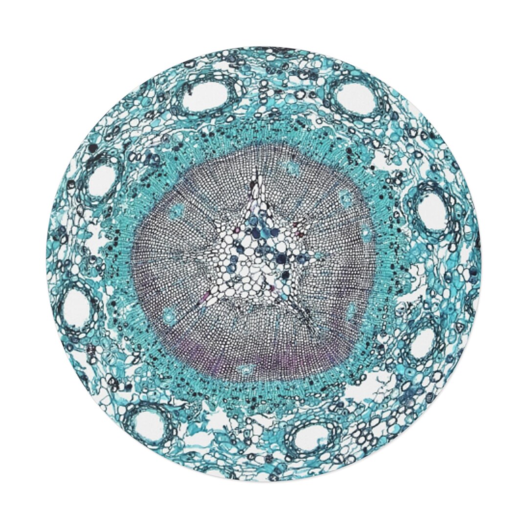 Biology Gas Tank Pfp Car Sticker - Etsy