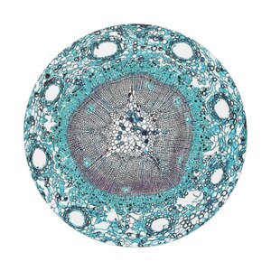 Biology Gas Tank Pfp Car Sticker - Etsy