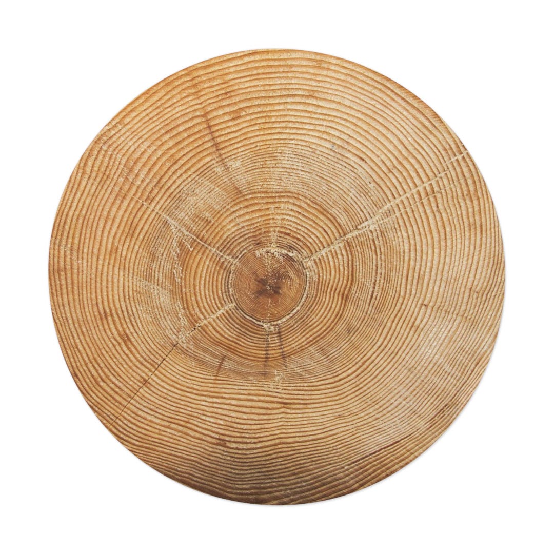 Nature Wood Stump Vinyl Stickers, Gen Z Pfp Icon Highlight Cover Meme ...