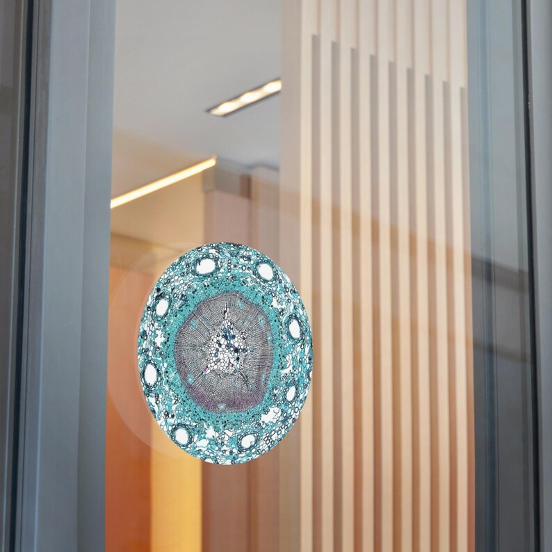 Biology Gas Tank Pfp Car Sticker - Etsy