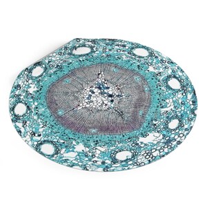 Biology Gas Tank Pfp Car Sticker - Etsy