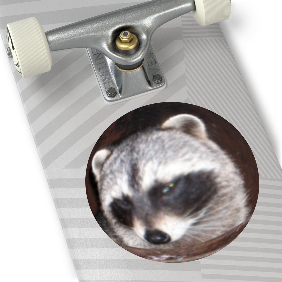 Quirky Raccoon Fisheye Meme Sticker for Car Gas Tank - Etsy