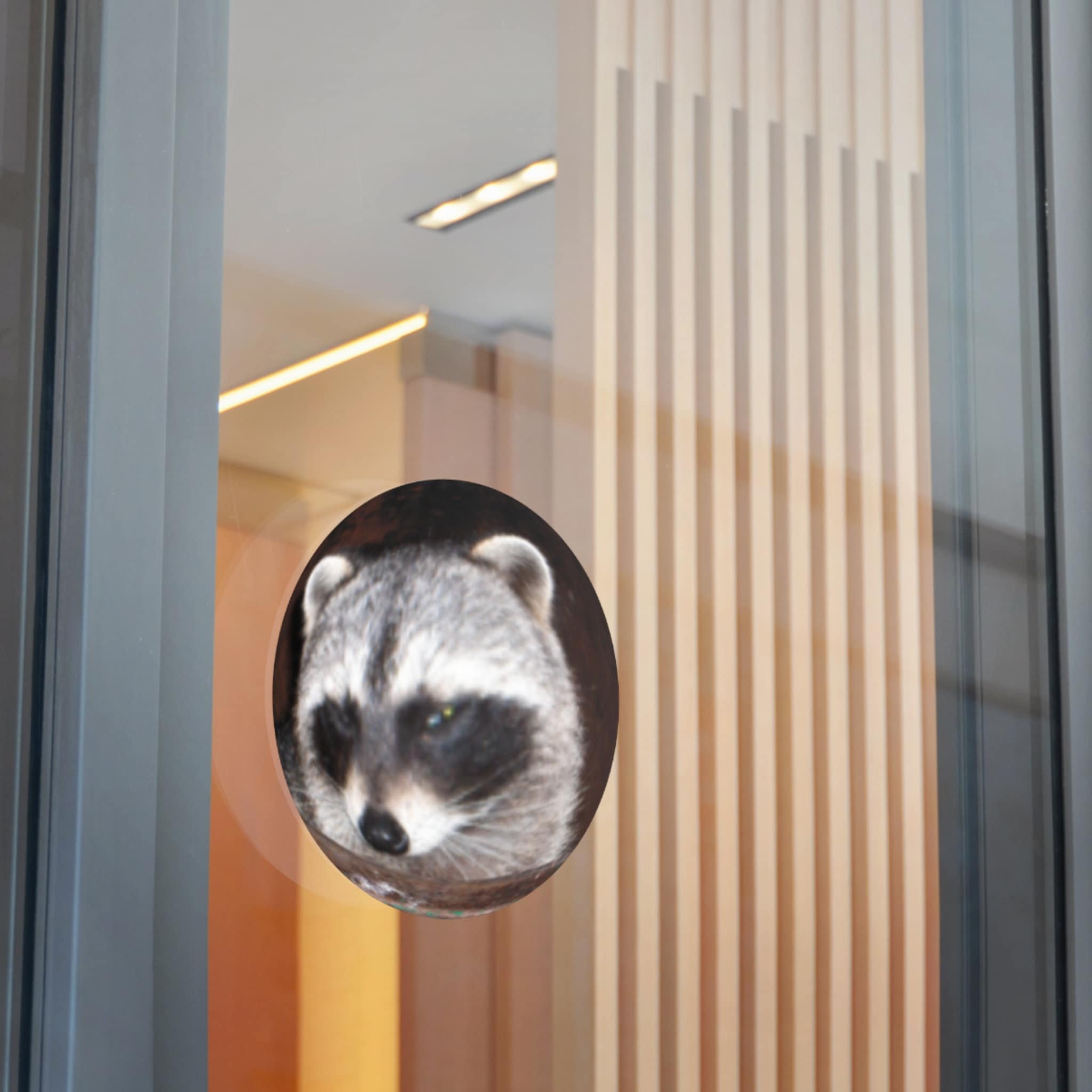 Quirky Raccoon Fisheye Meme Sticker for Car Gas Tank - Etsy
