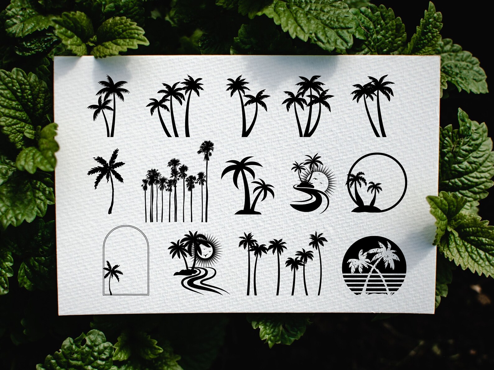 Palm Tree SVG Bundle - Palm Tree PNG Bundle - Palm Tree Clipart - Palm ...