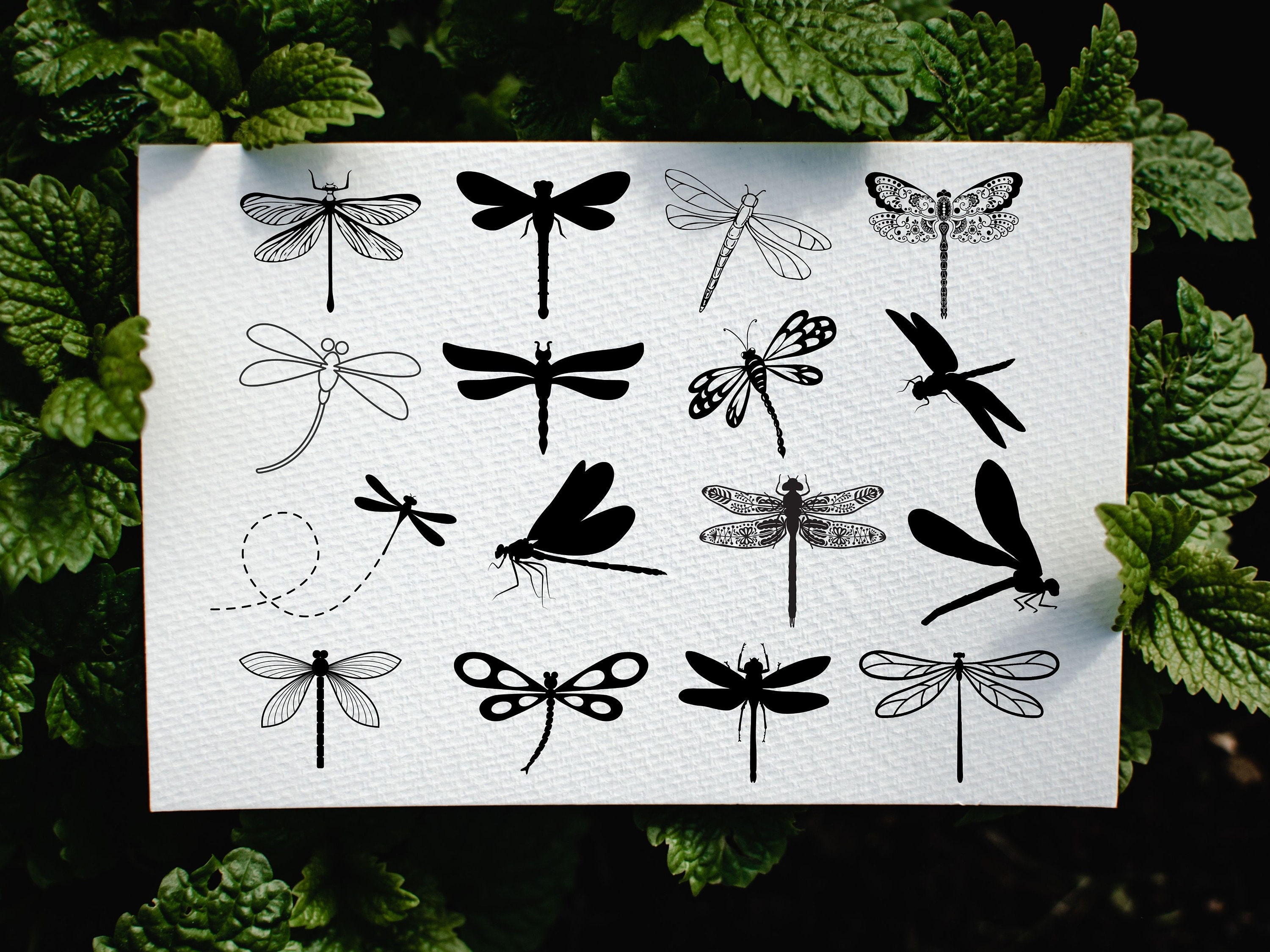 Dragonfly SVG Bundle, Insect Svg, Dragonfly Vector, Dragonflies, Wings Cut File, Dragonfly PNG ...